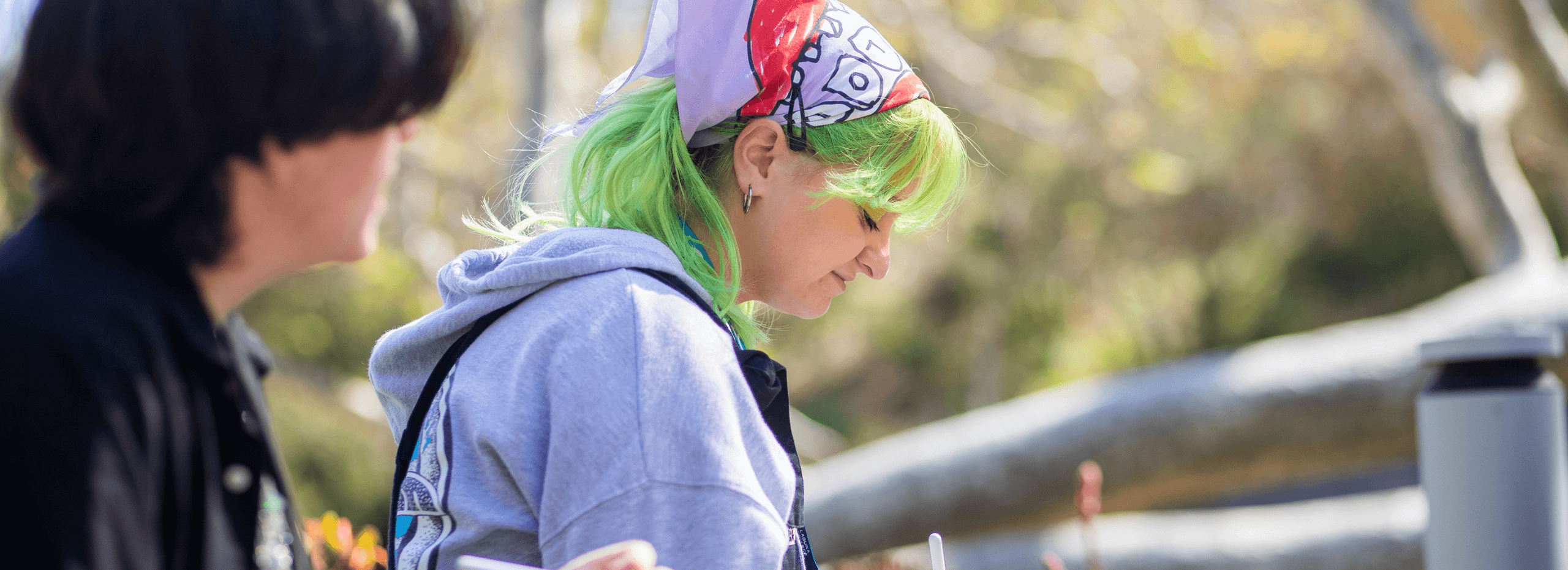 Undergraduate Programs - LCAD