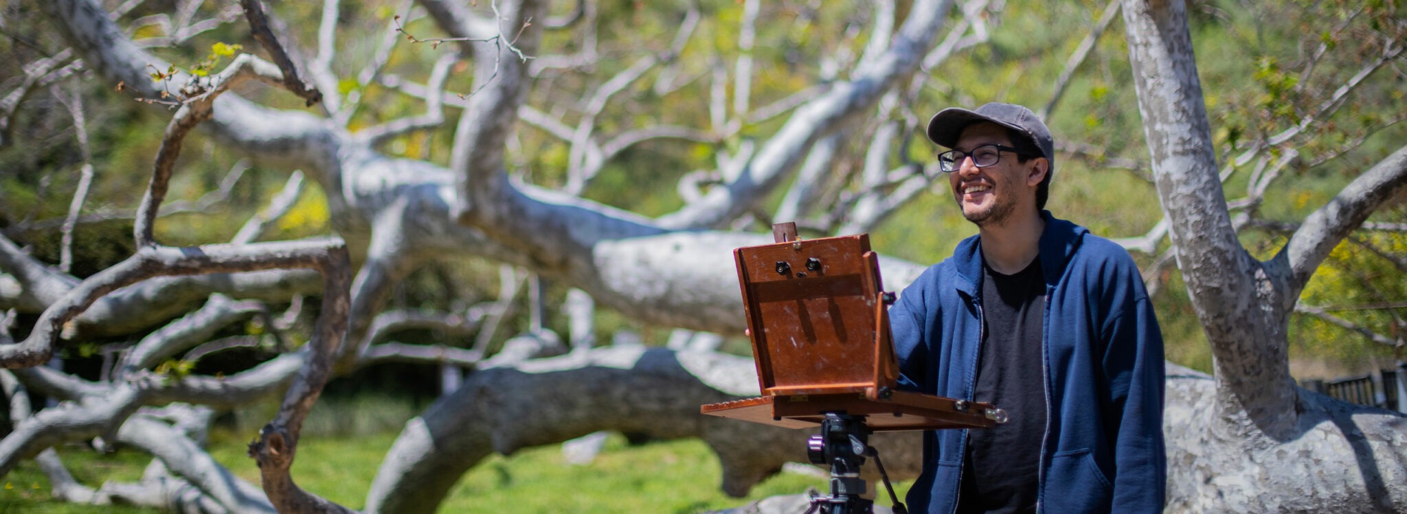 Counseling Services - LCAD